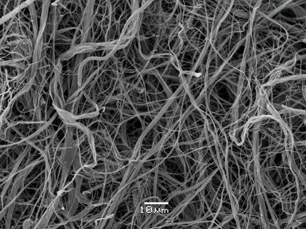 New material for covering chronic wounds | Univerzita Pardubice